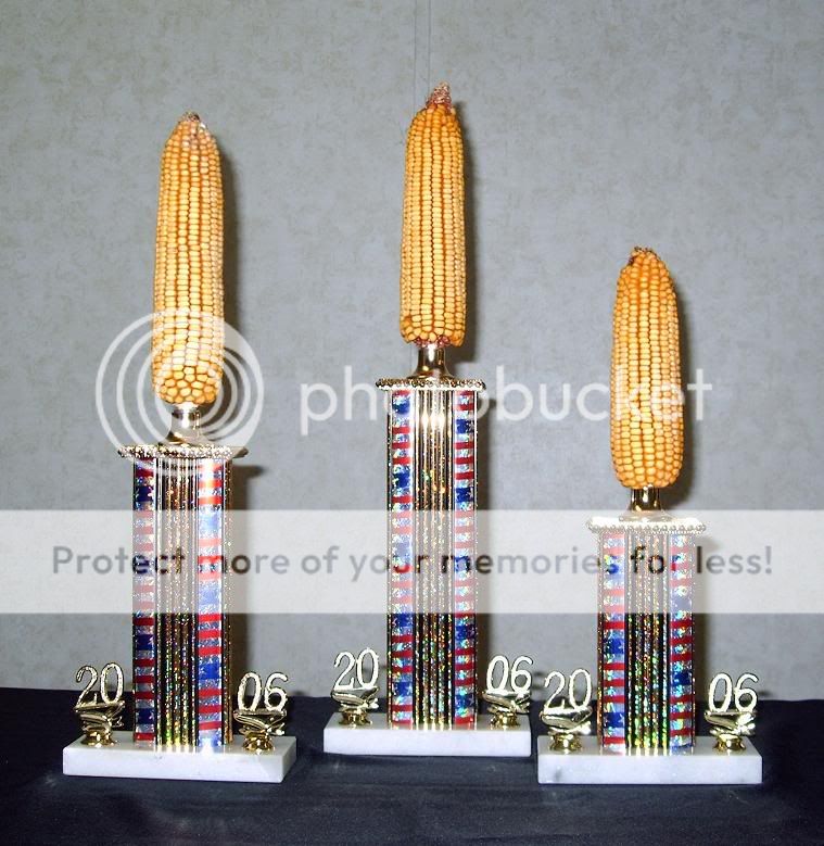 Cornhole Trophy Photo by coryandheather | Photobucket